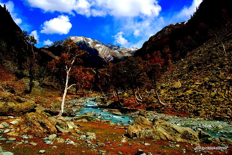 Tarsar Marsar Lake Trek - Trek Kashmir